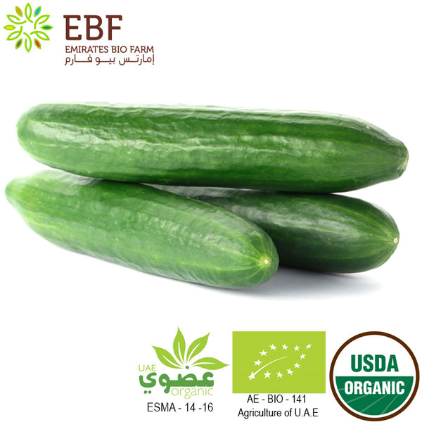 Organic Cucumber (500gm) – Emirates Bio Farm